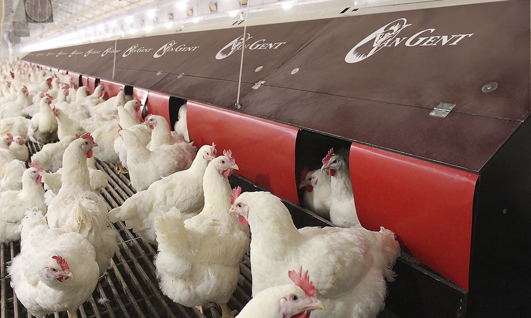 Van Gent Nest - Vencomatic Group